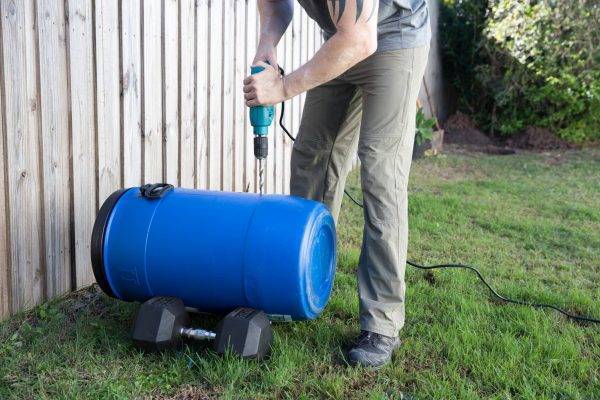 How to Make a Simple DIY Dog Poo Compost - The Green Hub