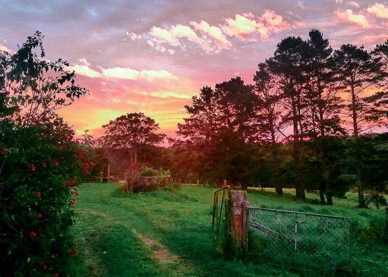 Emily Farm 3 - The Green Hub