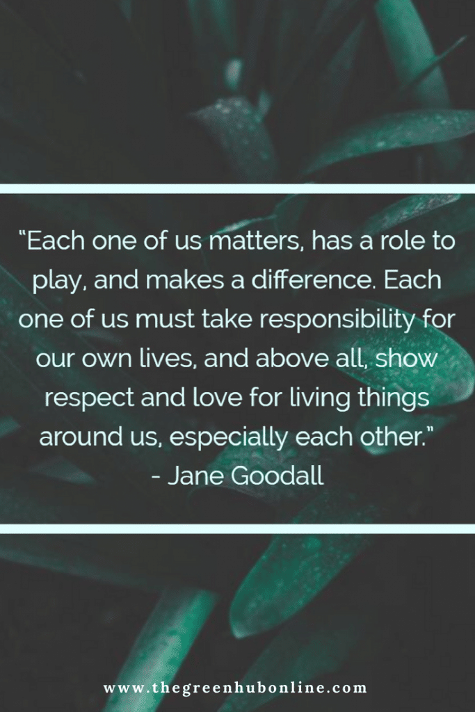 21 Inspiring Quotes About Sustainable Living, Nature & The Environment ...