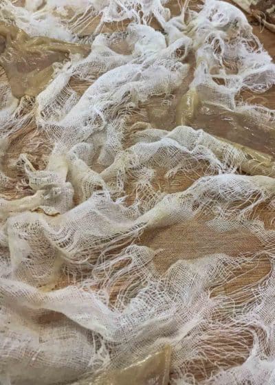 Kombucha Clothing - Meet The Designer Turning Food Waste into Fashion ...