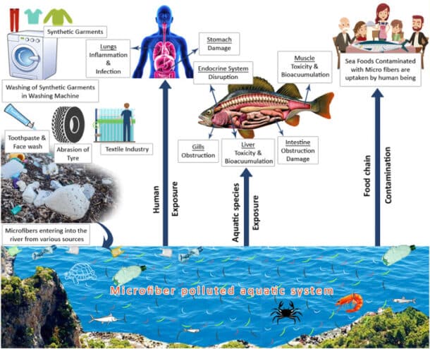 What is Microfiber Pollution and What Can We Do About it? - The Green Hub