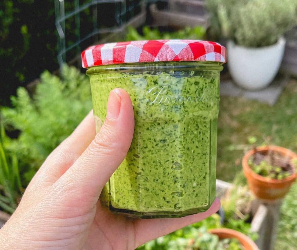 You Have To Try This Zesty Vegan Rocket Pesto - The Green Hub