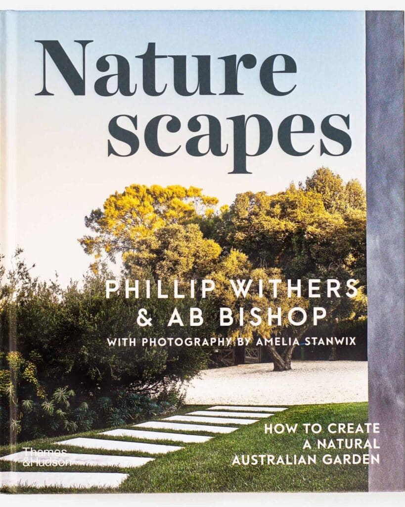 How I'm Regenerating my Suburban Australian Backyard - The Green Hub