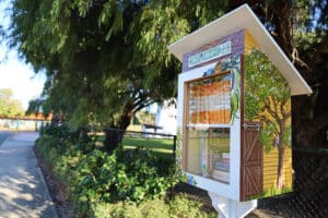 How to Start Your Own Street or Borrow Library - The Green Hub