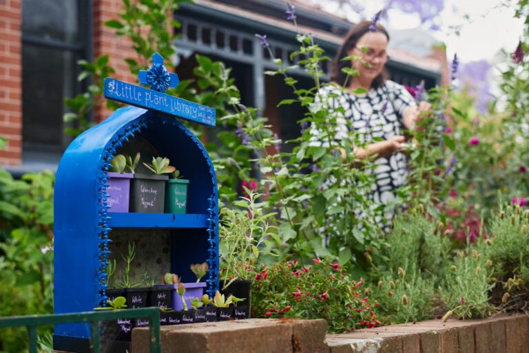 How to Start Your Own Street or Borrow Library - The Green Hub